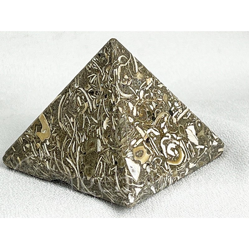 Turritella (Elimia) Agate Pyramid